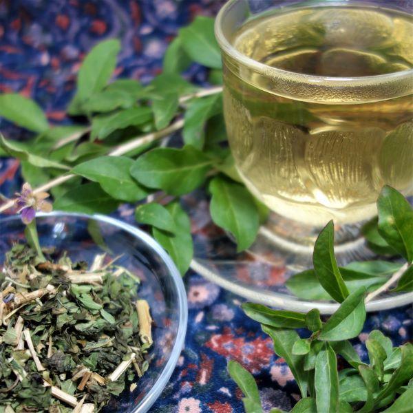 クコの葉茶 ( 枸杞の葉茶 ) 30g Goji Leaf Tea クコ茶 国産 : 健康茶ギャラリー Yahoo!店 - 通販 ...