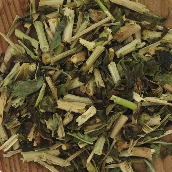 クコの葉茶 ( 枸杞の葉茶 ) 30g Goji Leaf Tea クコ茶 国産 :kuko-1:健康茶ギャラリー Yahoo!店 - 通販 ...