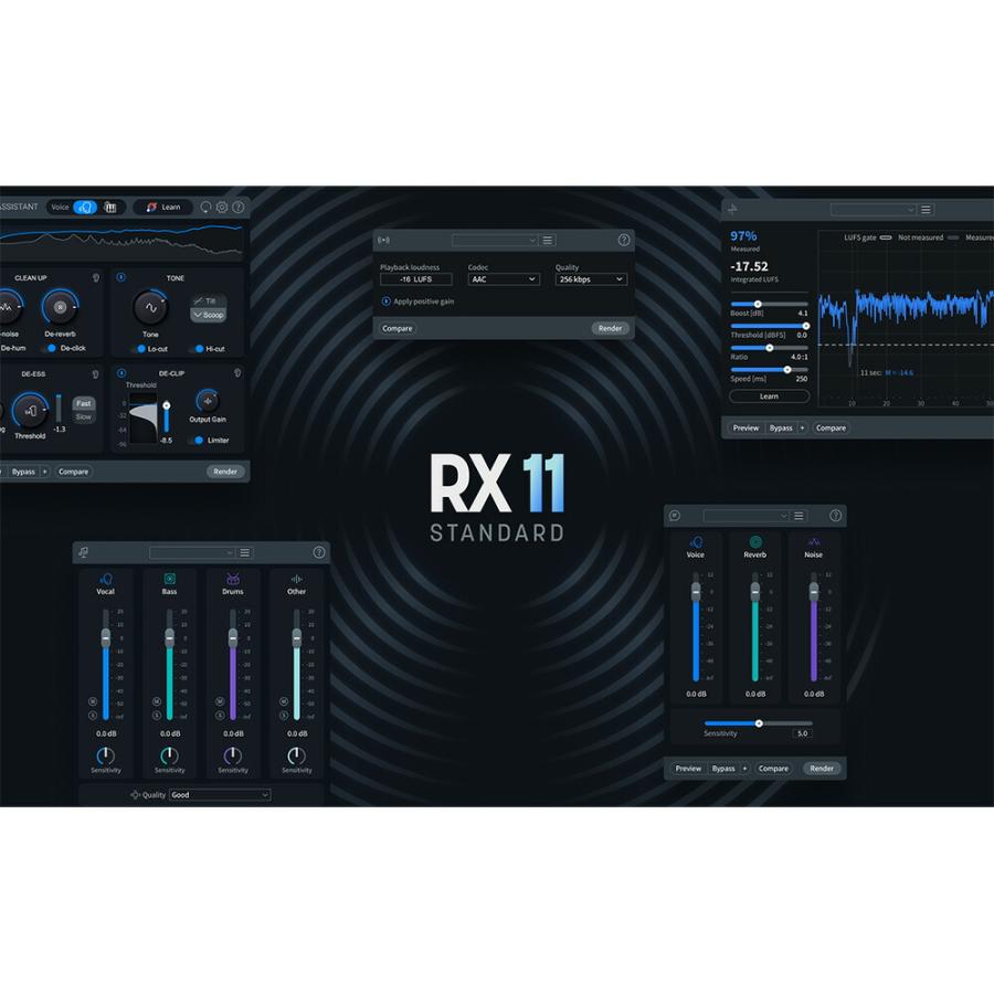 iZotope RX 11 Standard: Crossgrade from any paid product [メール納品 ...