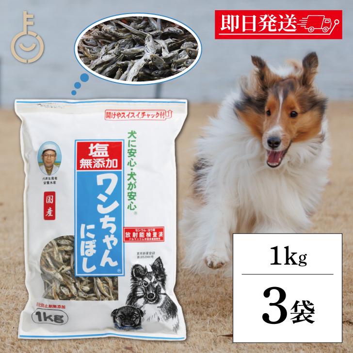 犬 おやつ 塩無添加 国産 ワンちゃんにぼし お徳用 1kg 3個 サカモトにぼし 業務用 : keyroom - 通販 - Yahoo!ショッピング