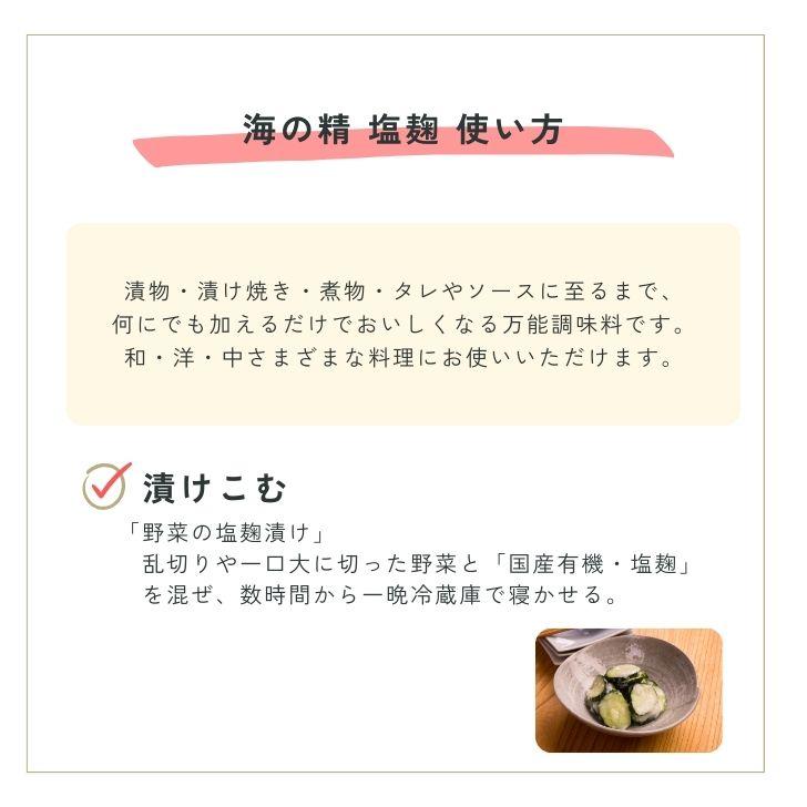 海の精 有機塩麹 170g 10個 有機 塩麹 塩こうじ オーガニック 有機玄米 万能調味料 : keyroom-10002283 : keyroom - 通販 - Yahoo!ショッピング