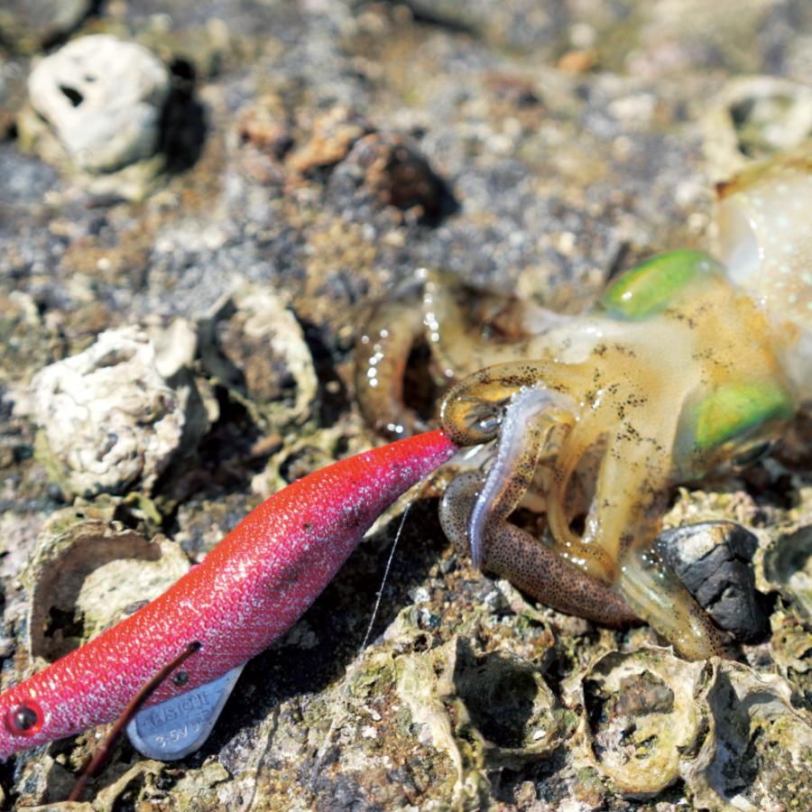 KEYSTONE ご予約販売 エギシャープ 3.5号V0(15g) 25周年記念 レッドフレア : KEYSTONE-DS - 通販 - Yahoo!ショッピング