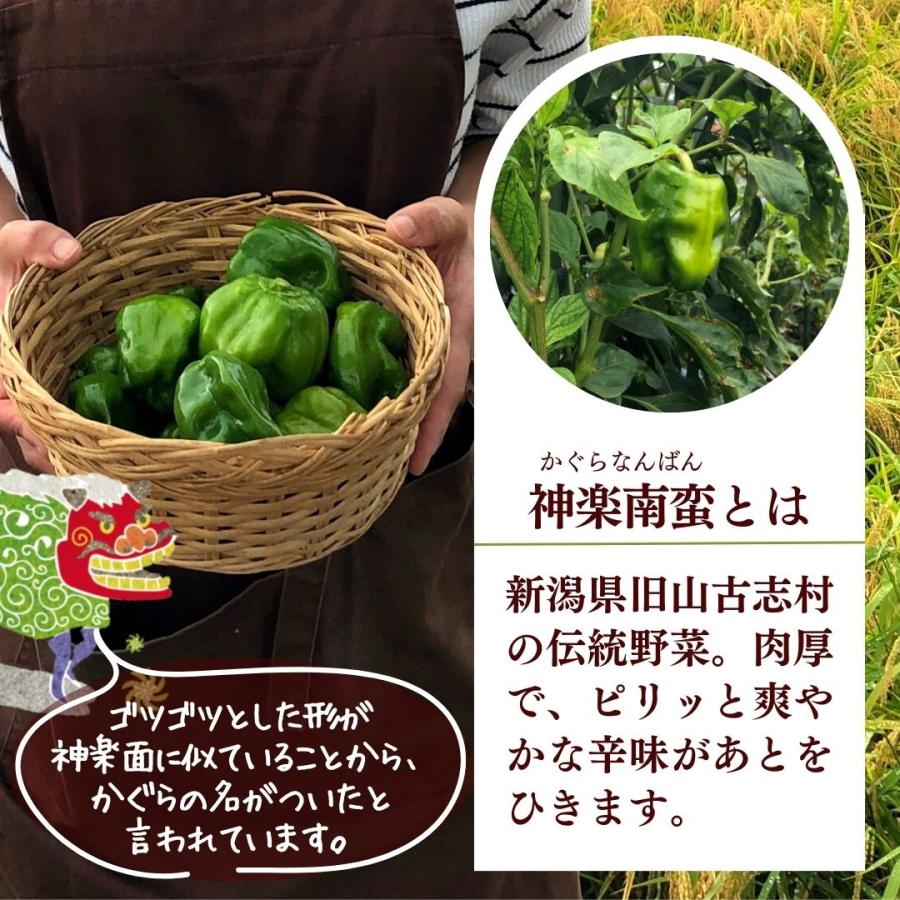 かぐらなんばん味噌 無添加 ピりっと爽やかな辛味 甘辛 自家製味噌 新潟 260g 130g×2パック つまみ 惣菜 ごはん おにぎり 白米 肉料理 米 食べ物 グルメ : msk2 : お肉 ...