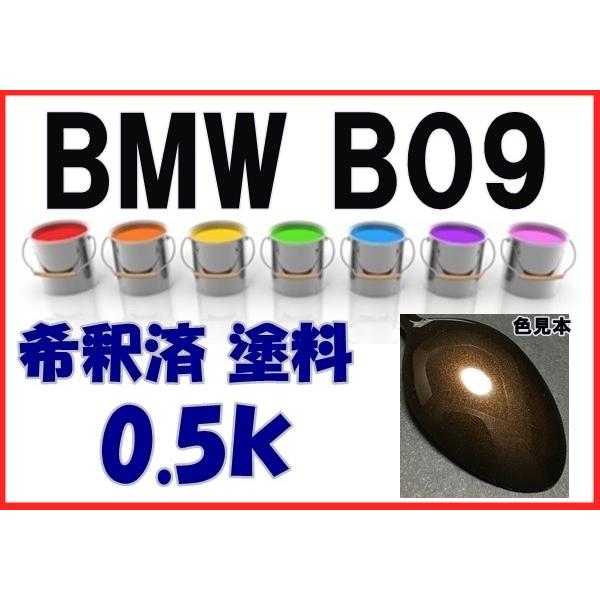 BMW B09 塗料 マラケシュブラウンM 希釈済 カラーナンバー カラーコード B09 : KH企画 - 通販 - Yahoo!ショッピング