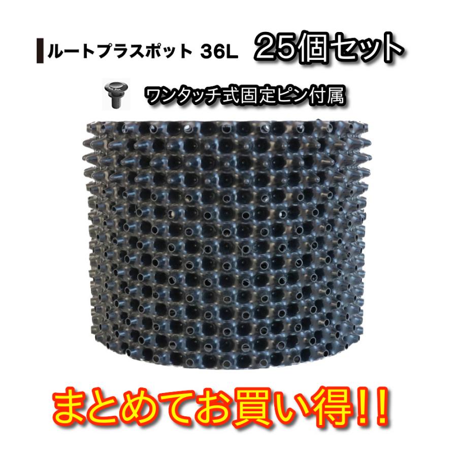 ルートプラスポット 36L 25個セット : 吉瀬園芸 - 通販 ルートプラスポット 36L 25個セット : 吉瀬園芸 - 通販