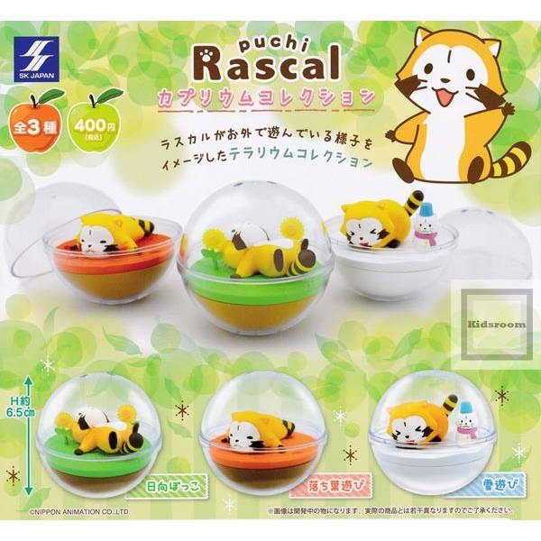 puchi Rascal ラスカル カプリウムコレクション 全3種セット (ガチャ ガシャ コンプリート) : キッズルーム - 通販 ...