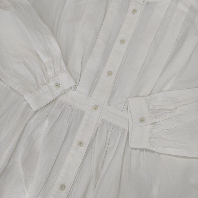 オオカミとフクロウ portom21022 フクロウと月光の白クジラ コットン