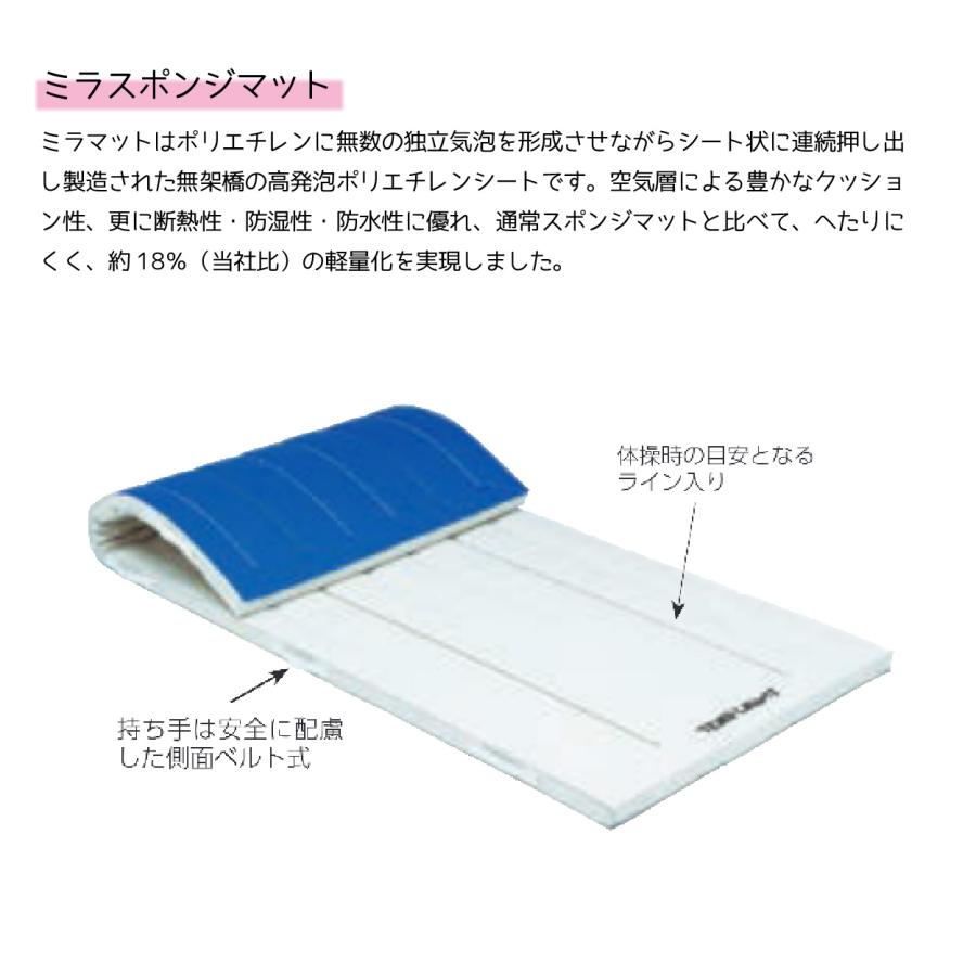 TOEI LIGHT (個人宅配送不可)(送料無料) トーエイライト ミラスポンジマット 6cm厚 9号帆布・すべり止め付 90×180×6cm T-1240 TOEILIGHT : 喜共屋 ...