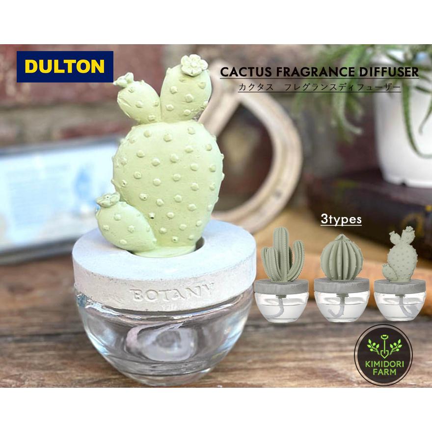 DULTON CACTUS FRAGRANCE DIFFUSER フレグランス ディフューザー おしゃれ アロマ ダルトン カクタス サボテン インテリア 香り 送別品 ギフト ...