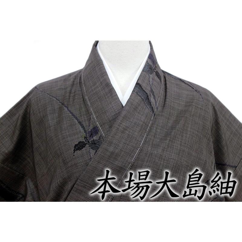 大島紬 着物 本場大島紬 9マルキ 濃墨色地 菖蒲 模様 正絹 新品 未使用品 69cm 和装 w889 : 着物ちどり - 通販 - Yahoo!ショッピング
