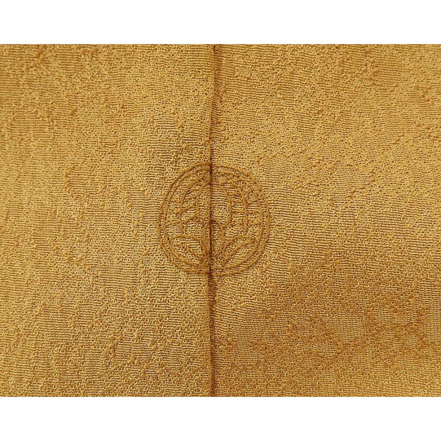 色無地 正絹 加賀友禅 白坂幸蔵 身丈164.5cm 裄丈69cm 糸輪に上り藤