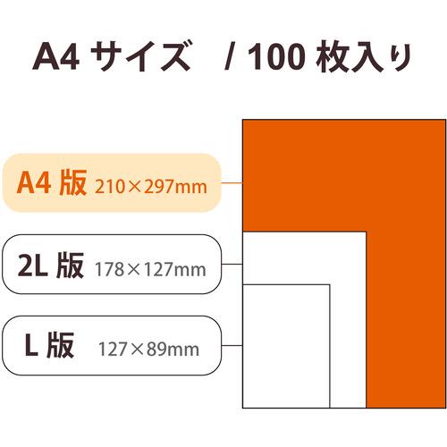 エレコム EJK-TVLA4100 写真用光沢紙 バリュー 薄手 A4 100枚 EJKTVLA4100 : キムラヤYahoo!店 - 通販 - Yahoo!ショッピング
