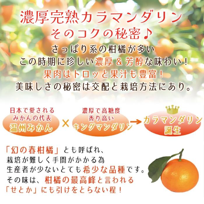 カラマンダリン【秀品 L/2L/3L(中玉から大玉)サイズ 5kg 】贈答用 カラ みかん 紀南みかん 樹上完熟 フルーツ 果物 和歌山 紀南 紀州の旬マルシェ 紀の : 紀州の旬マルシェ 紀 ...
