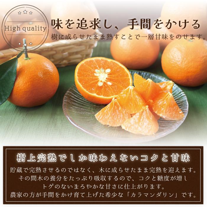 カラマンダリン【秀品 L/2L/3L(中玉から大玉)サイズ 5kg 】贈答用 カラ みかん 紀南みかん 樹上完熟 フルーツ 果物 和歌山 紀南 紀州の旬マルシェ 紀の : 紀州の旬マルシェ 紀 ...