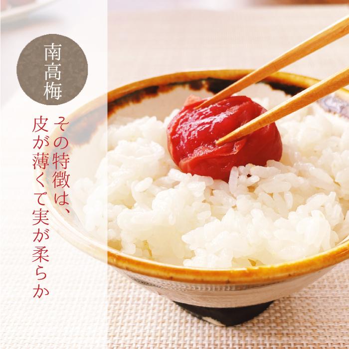 完熟南高梅 しそ漬梅 【300gx2 計600g】 送料無料 南高梅使用!軽微なキズ等があるご家庭用梅干し 梅干 訳あり 家庭用 お得用 南高梅 南高 みなべ 和歌山 紀の :nankou-c ...