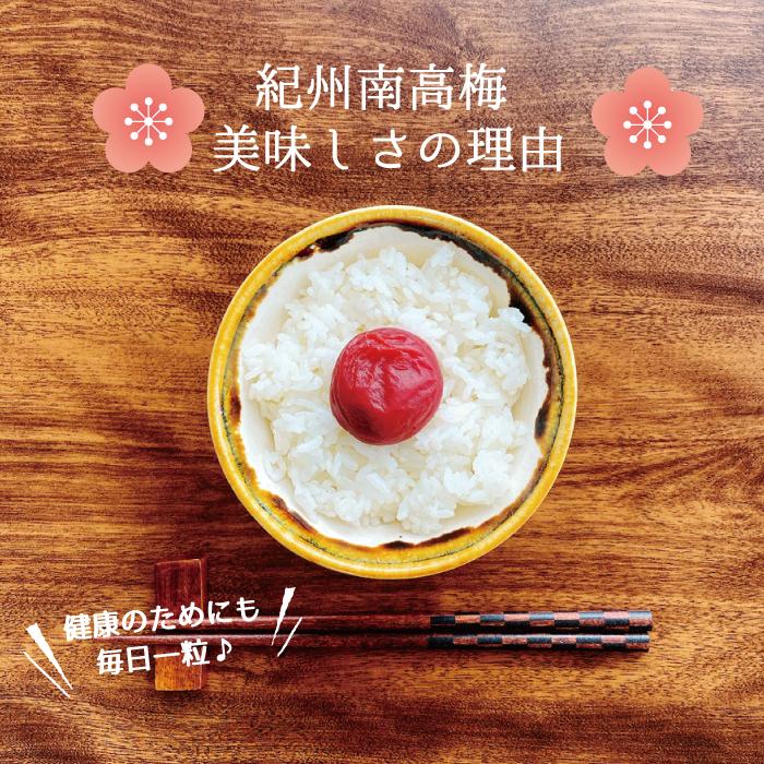 完熟 南高梅 しそ漬梅【300gx2パック 計600g】送料無料 塩分約10％ 軽微なキズ等がある ご家庭用 うめ 梅 うめぼし 梅干し 紀州南高梅 訳あり お得用 紀の : 紀州の旬マルシェ ...