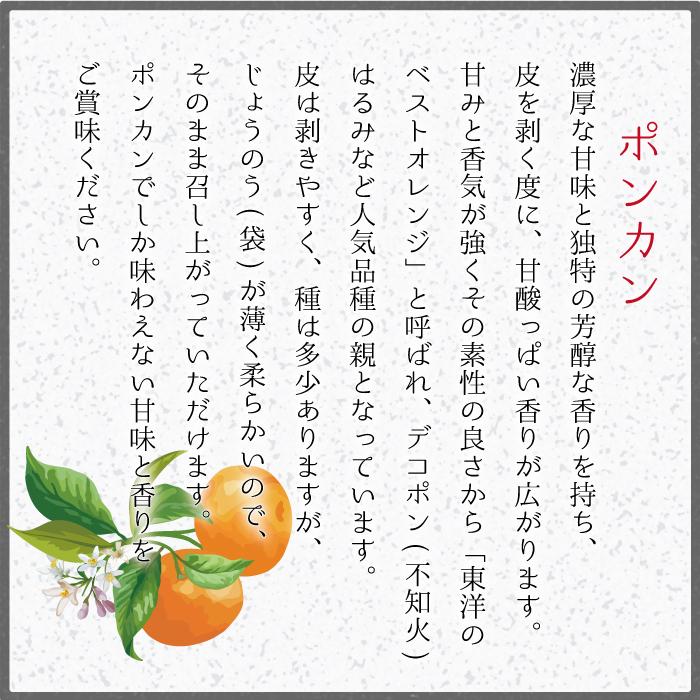 葉付 ポンカン 送料無料 【秀品 2L サイズ 3kg】 希少な樹上熟成！ 濃厚な甘みの葉付ポンカン ぽんかん みかん 紀南 高糖度 ギフト 和歌山 紀の : 紀州の旬マルシェ 紀の - 通販 ...
