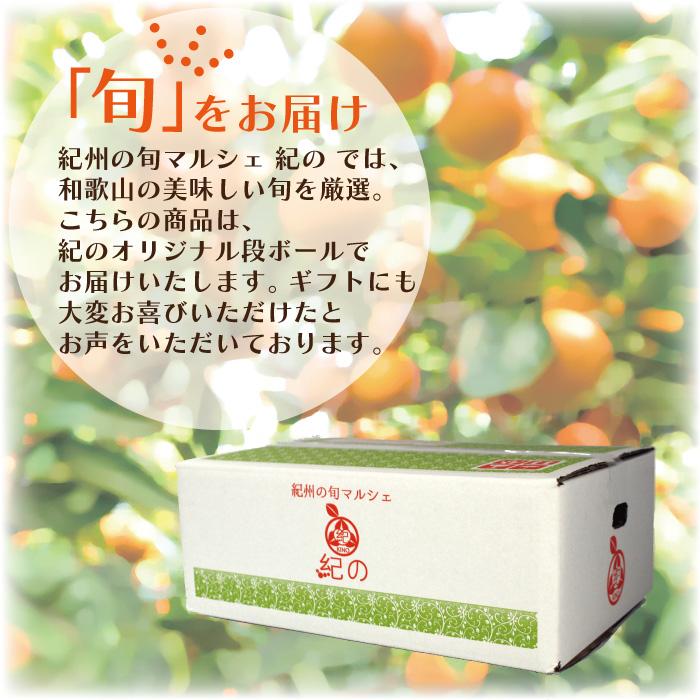 極早生 みかん YN26 送料無料 【 秀品 SS サイズ 10kg 】 和歌山オリジナル品種 温州みかん 小粒 小玉 糖度 和歌山 紀南 ギフト 紀の : 紀州の旬マルシェ 紀の - 通販 ...