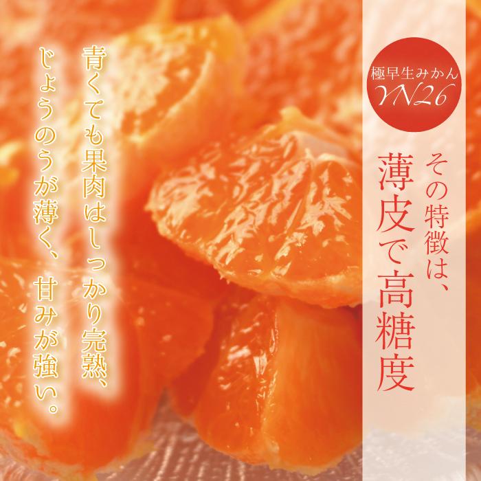 極早生 みかん YN26 送料無料 【 秀品 SS サイズ 10kg 】 和歌山オリジナル品種 みかん 極早生 温州みかん 小粒 小玉 糖度 和歌山 紀南 ギフト 紀の : yn26-syu ...