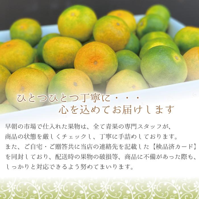 極早生 みかん YN26 送料無料 【 秀品 SS サイズ 10kg 】 和歌山オリジナル品種 温州みかん 小粒 小玉 糖度 和歌山 紀南 ギフト 紀の : 紀州の旬マルシェ 紀の - 通販 ...