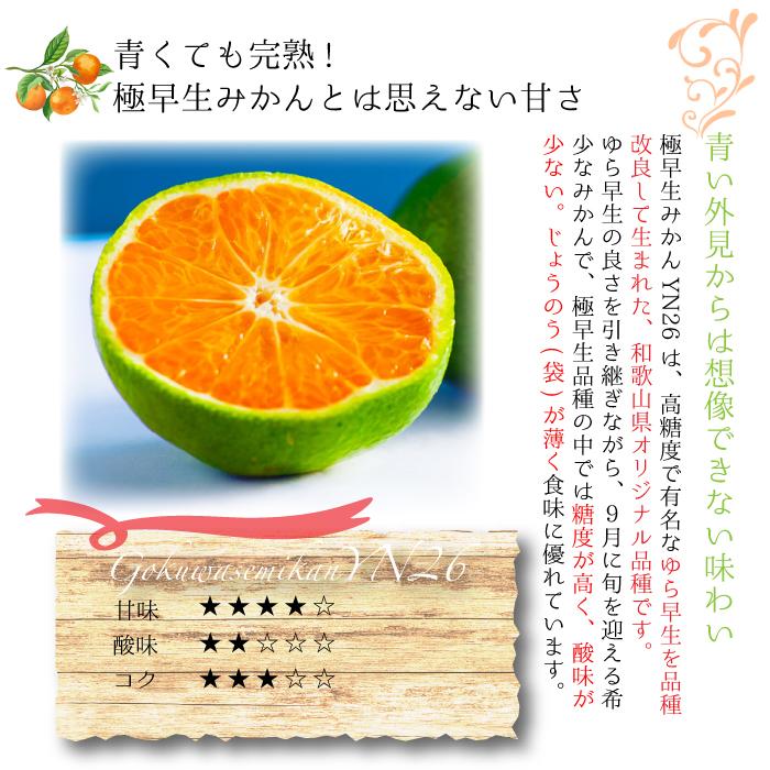 極早生 みかん YN26 送料無料 【 秀品 SS サイズ 3kg 】 和歌山オリジナル品種 温州みかん 小粒 小玉 糖度 和歌山 紀南 紀の : 紀州の旬マルシェ 紀の - 通販 ...