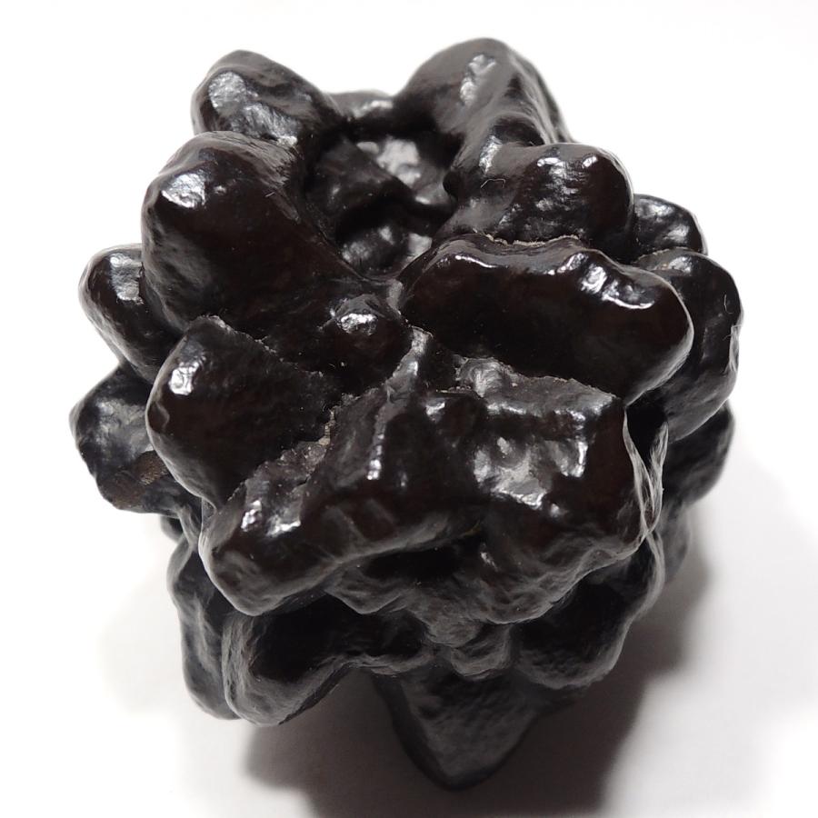 ゲーサイト マーカサイト仮晶 約67.49g Zストーン ゼットストーン プロフェシーストーン エジプトの星 針鉄鉱 白鉄鉱仮晶 原石 : 鉱物標本 天然石 金星舎 - 通販 - Yahoo ...