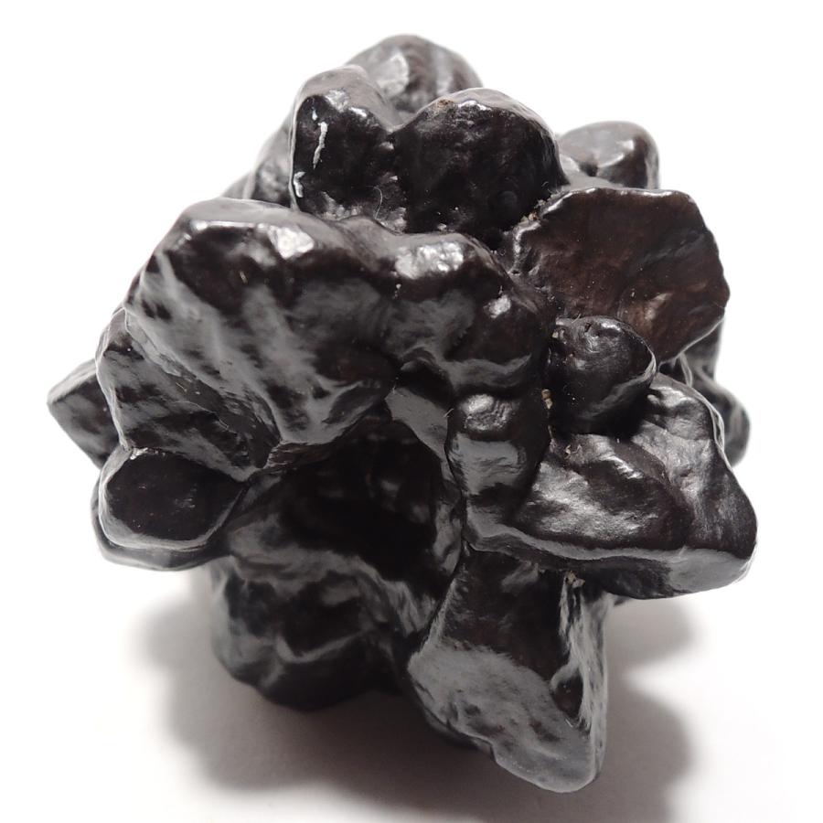 ゲーサイト マーカサイト仮晶 約67.49g Zストーン ゼットストーン プロフェシーストーン エジプトの星 針鉄鉱 白鉄鉱仮晶 原石 : 鉱物標本 天然石 金星舎 - 通販 - Yahoo ...