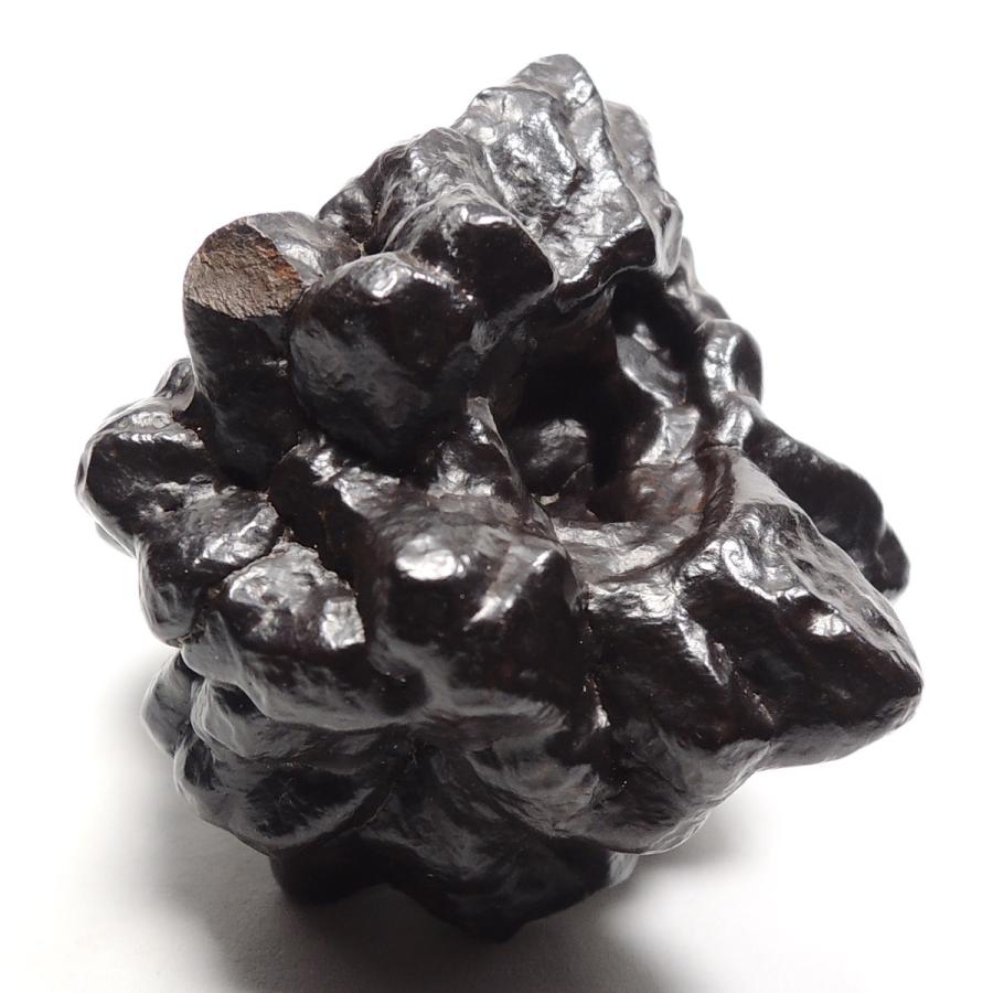 ゲーサイト マーカサイト仮晶 約67.49g Zストーン ゼットストーン プロフェシーストーン エジプトの星 針鉄鉱 白鉄鉱仮晶 原石 : 鉱物標本 天然石 金星舎 - 通販 - Yahoo ...