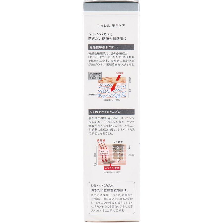 キュレル 美白ケア 化粧水2 140mL :4901301240293:金太郎SHOP - 通販 - Yahoo!ショッピング