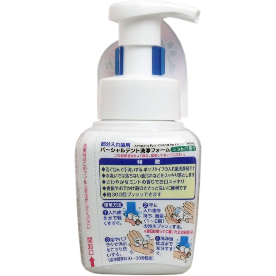 パーシャルデント洗浄フォーム 部分入れ歯用 ミントの香り 250mL : 金太郎SHOP - 通販 - Yahoo!ショッピング