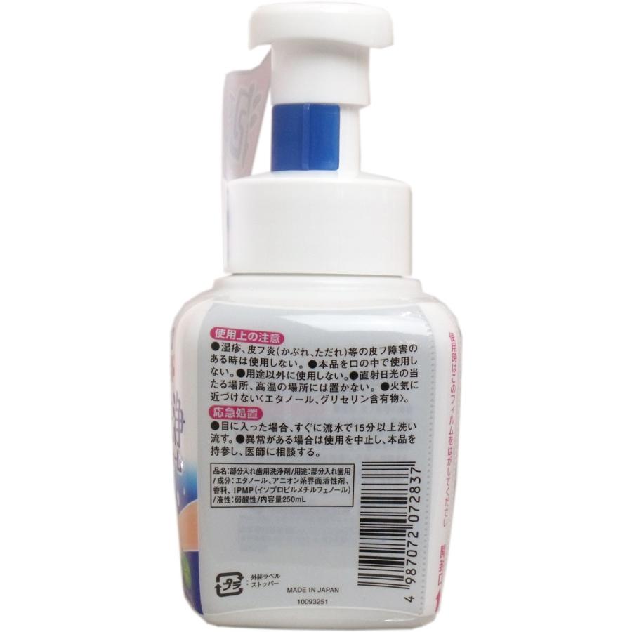 パーシャルデント洗浄フォーム 部分入れ歯用 ミントの香り 250mL : 金太郎SHOP - 通販 - Yahoo!ショッピング