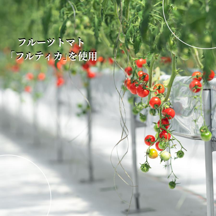 トマトジュース 無塩 保存料 無添加 ストレート ギフト プレゼント ギフトセット 贈答 内祝い ジュース 野菜ジュース 花吉野 ｜ 「HANAYOSHINO」170ml 6本入 : 近鉄 ...