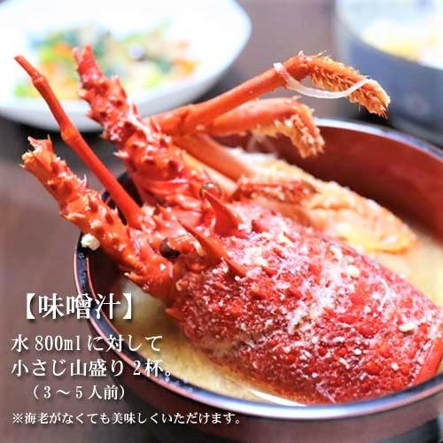 だしの素3種セット あごだしの素100g しじみだしの素100g えびだしの素90g 粉末 あごだし粉末 飛魚だし 鍋物 万能だし 飛魚 出汁 ...