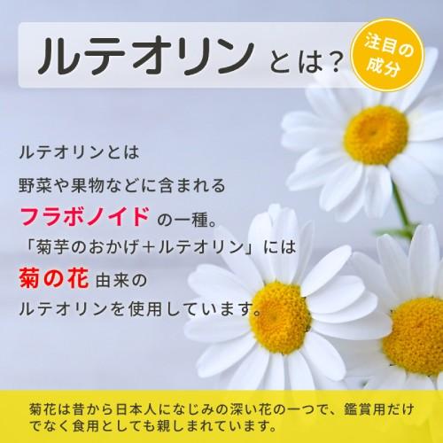 菊芋のおかげ＋ルテオリン 54g（300mg×180粒） ※送料無料（一部地域を除く） 【日本糖尿食研】 : 0297-00-0013 : きらら自然食品店 - 通販 - Yahoo!ショッピング