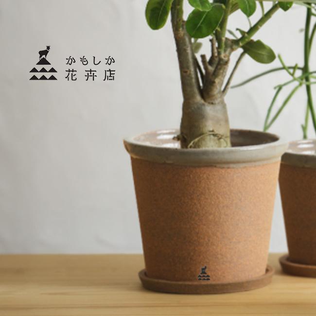 かもしか花卉店 かもしかポット＆ソーサー L(植木鉢 5.5号 約 5号 陶器 ポット 植木 鉢 小さい プランター 観葉植物 室内) : キレイスポット - 通販 - Yahoo!ショッピング