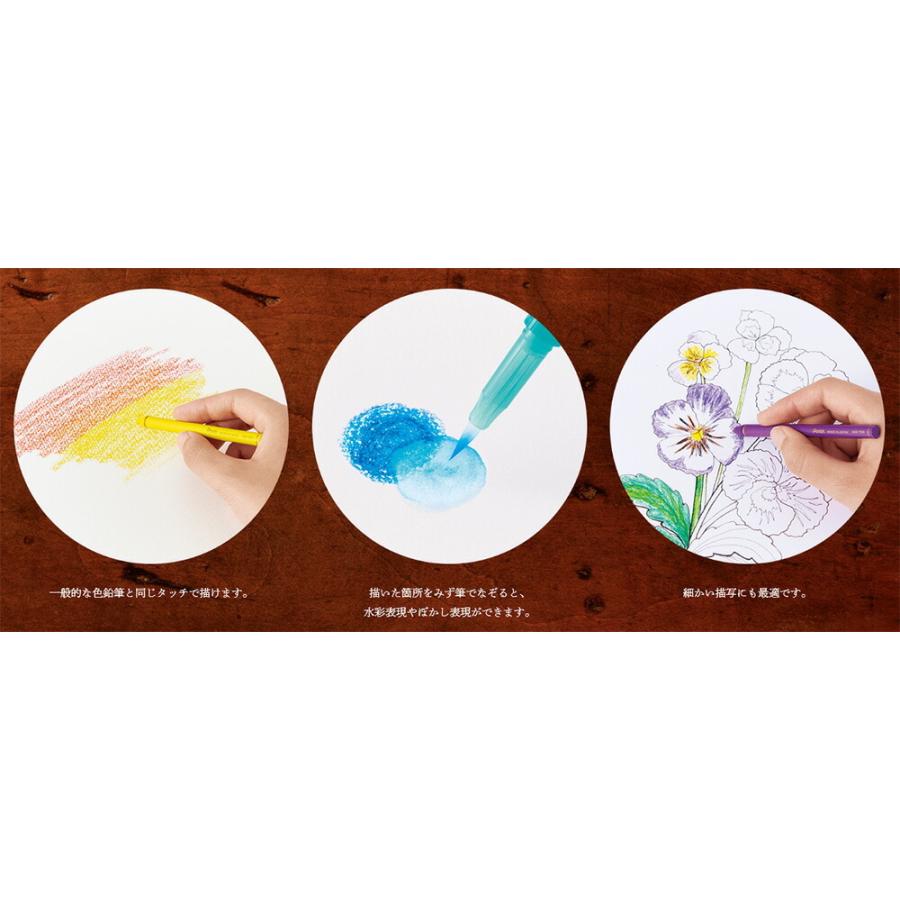 （まとめ買い）ぺんてる ヴィスタージュ 水彩色鉛筆 水彩スティック ミネラルバイオレット GSS-T343 〔10本セット〕 : キリーショップ ヤフー店 - 通販 - Yahoo!ショッピング
