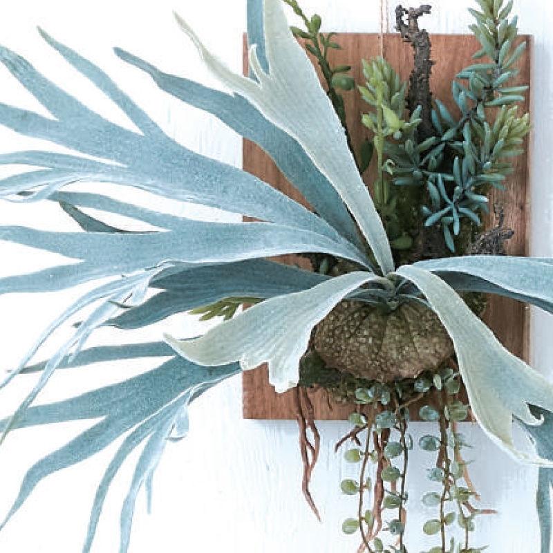 人工観葉植物 ビカクシダ ウォール ハンギング アカシア 20 （4個入り） 991760 （代引き不可） p92 : 季節用品ショップ ゆうき - 通販 - Yahoo!ショッピング