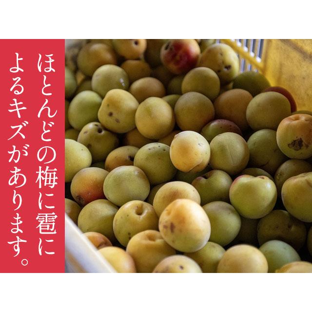 訳あり 冷凍梅 南高梅 和歌山 梅酒 梅シロップ 3Lサイズ 2kg 農家直送 : 紀州梅苑 - 通販 - Yahoo!ショッピング