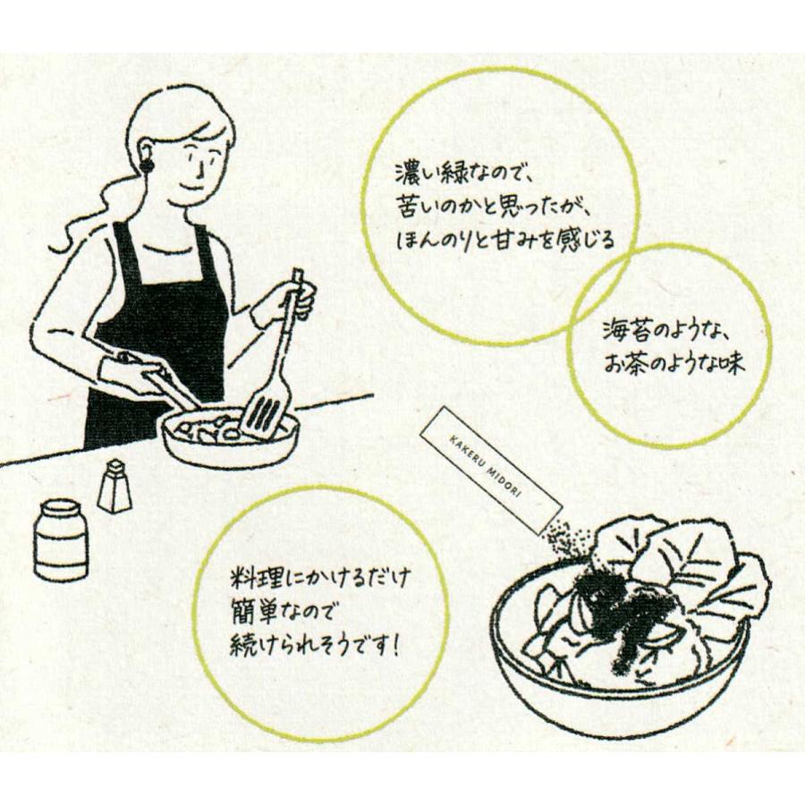 クロレラパウダー KAKERUMIDORI チクゴ株 クロレラ工業 20包 : 吉祥 ヤフー店 - 通販 - Yahoo!ショッピング