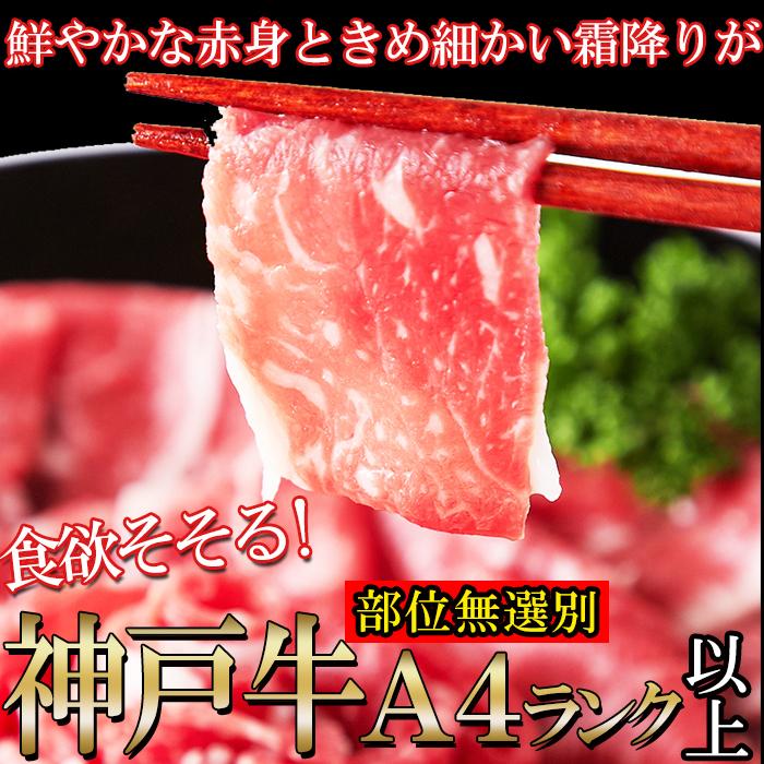無選別 神戸牛切り落とし500g A4ランク以上 霜降り 牛肉 焼肉 しゃぶしゃぶ : 北の美食郭 - 通販 - Yahoo!ショッピング
