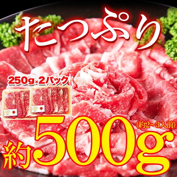 無選別 神戸牛切り落とし500g A4ランク以上 霜降り 牛肉 焼肉 しゃぶしゃぶ : 北の美食郭 - 通販 - Yahoo!ショッピング