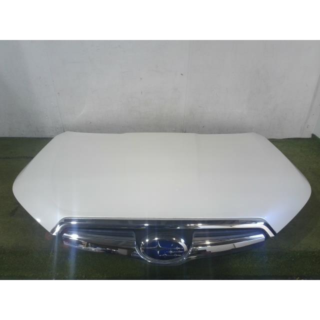 フォレスター DBA-SJ5 ボンネットフード 37J 57229SG0009P : キタグチ ヤフー店 - 通販 - Yahoo!ショッピング