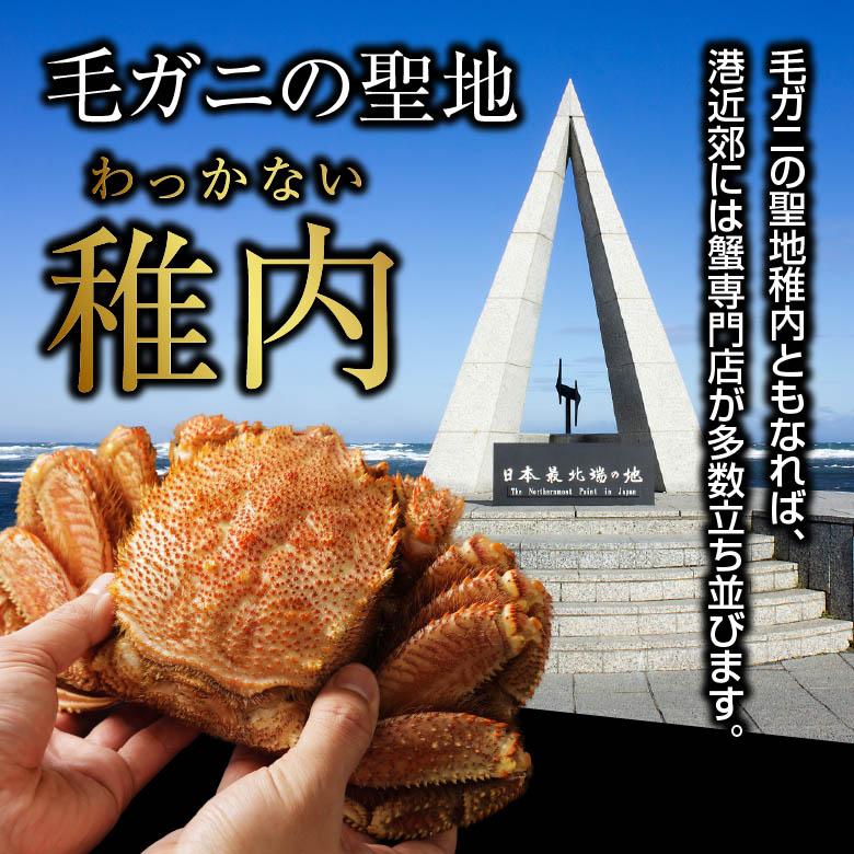 毛ガニ 570g 新物 チルド : 北海道～宗谷の海鮮グルメ 北うま - 通販 - Yahoo!ショッピング