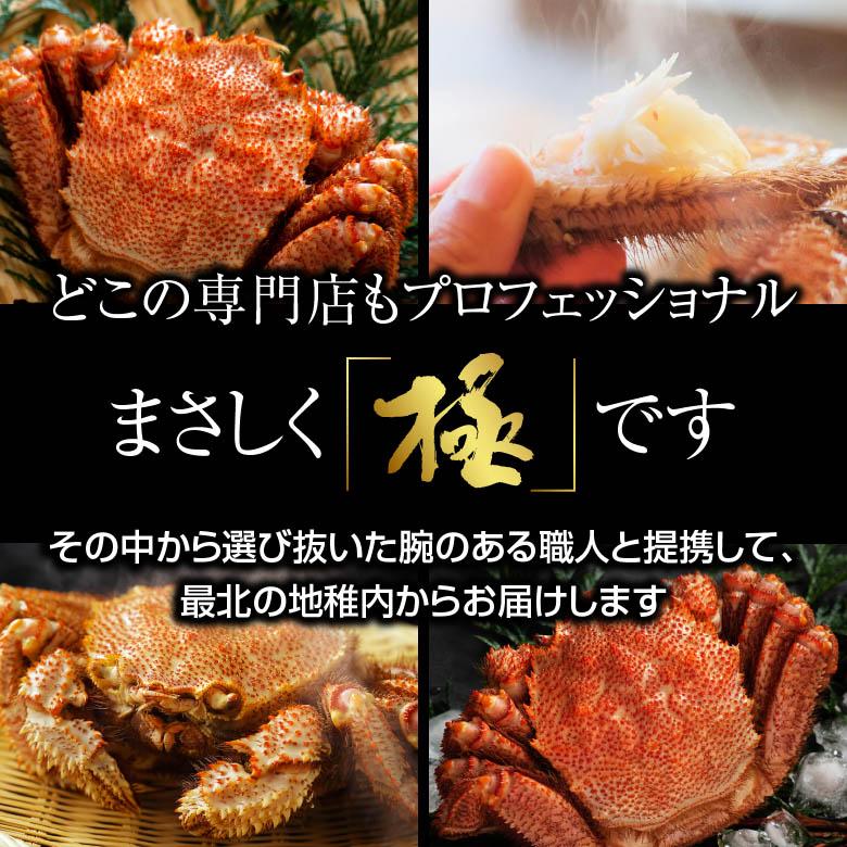 毛ガニ 570g 新物 チルド : 北海道～宗谷の海鮮グルメ 北うま - 通販 - Yahoo!ショッピング