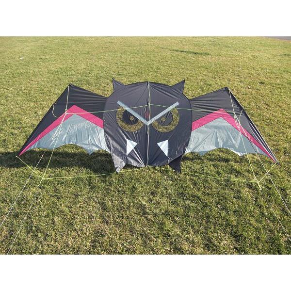 VAMP DEVIL QUAD ≪Shadow≫Black : Kites Shop Light Flight - 通販 - Yahoo!ショッピング