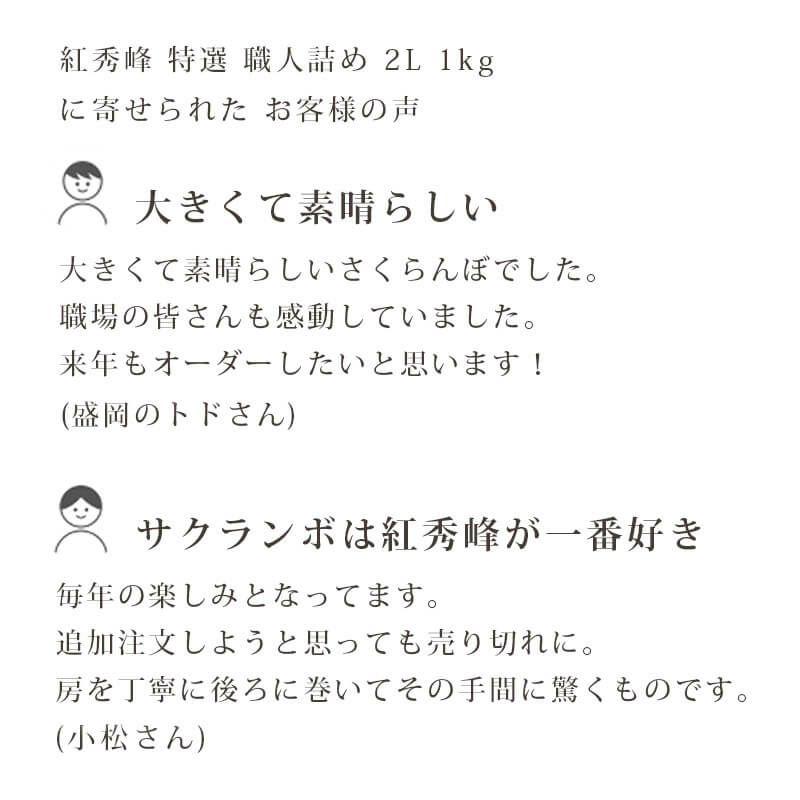 さくらんぼ 紅秀峰 特選 職人詰め 2L 1kg 山形県産 ギフト 高級 手詰め 特選紅秀峰 (清川屋のサクランボ) : 清川屋Yahoo!店 - 通販 - Yahoo!ショッピング