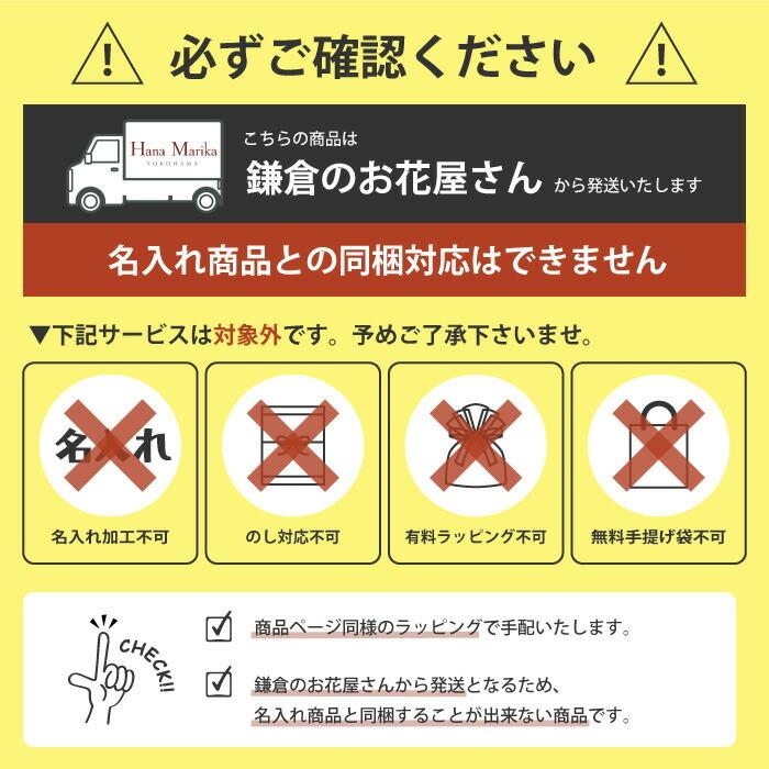 お供え 花 供花 お悔やみ 家族葬の花 一対 ABW 生花 葬式 葬儀 枕花 仏花 お悔やみ 電報 法事 49日 四十九日 法要 供花 仏壇 : funeral-e : FLEGRE 1号店 ...