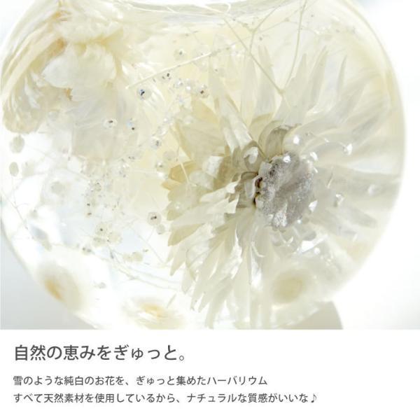 クリスマス プレゼント ギフト 親子 子供 スノーマン ハーバリウム 手作り 雪だるま 花 卓上飾り 玄関飾り 北欧雑貨 おしゃれ 結婚祝い 誕生日 女性 : FLEGRE 1号店 - 通販 ...