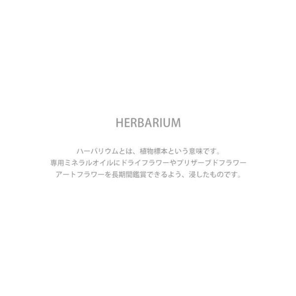 クリスマス プレゼント ギフト 親子 子供 スノーマン ハーバリウム 手作り 雪だるま 花 卓上飾り 玄関飾り 北欧雑貨 おしゃれ 結婚祝い 誕生日 女性 : FLEGRE 1号店 - 通販 ...