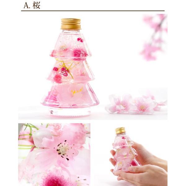 結婚祝い 花プレゼント ギフト シーズンツリー ハーバリウム 桜 ひまわり ブルースター 誕生日 おしゃれ 退職祝い 女性 母 40代 50代 60代 : FLEGRE 1号店 - 通販 ...